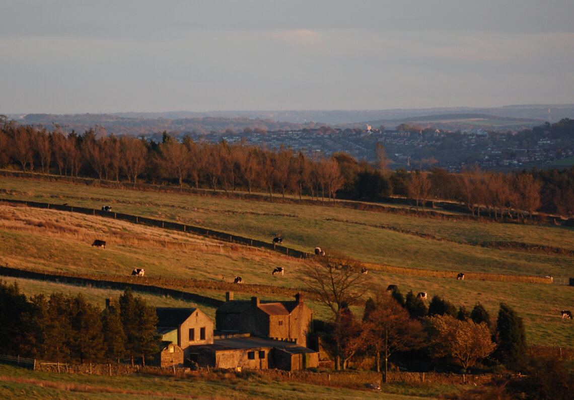 Do we all have the same access to nature? | Now Then Sheffield