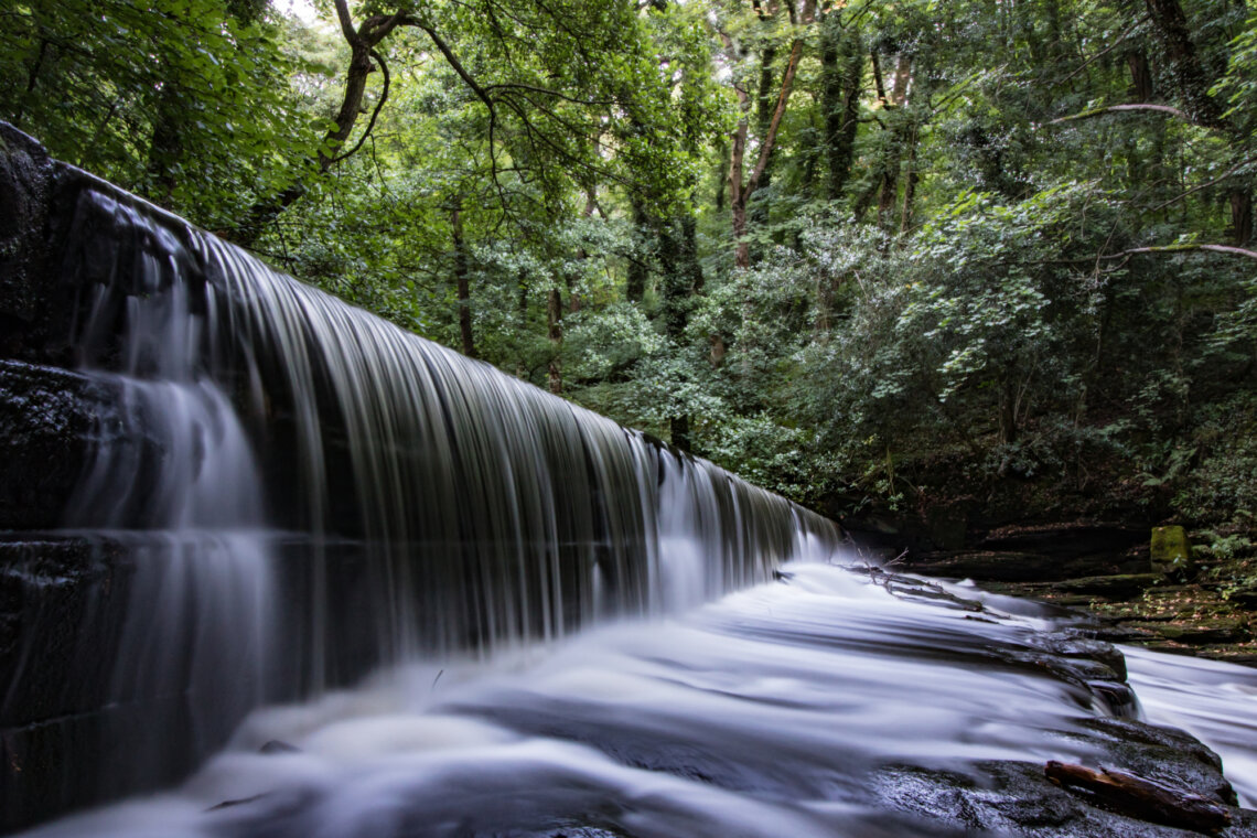 These South Yorkshire river walks will invite participants to get ...