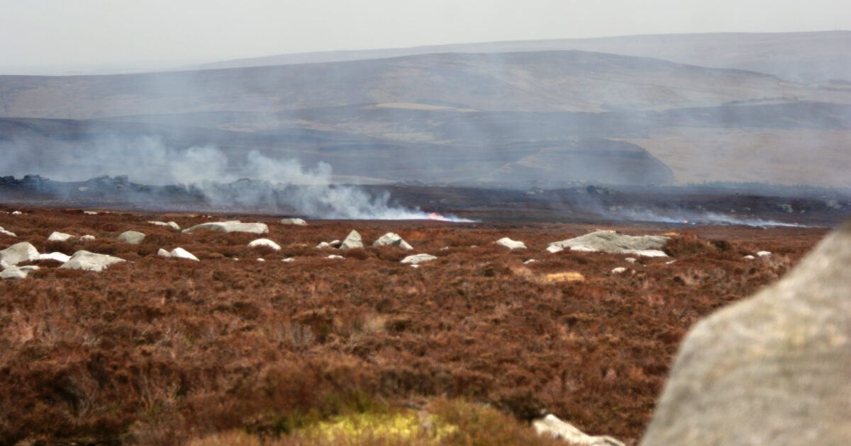 Cautious welcome for new legislation limiting destructive moorland ...