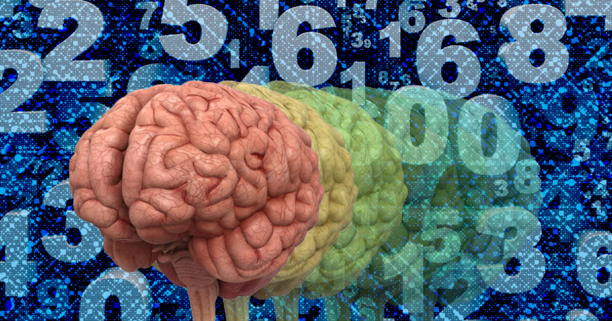 Numbers Brain | Now Then Sheffield