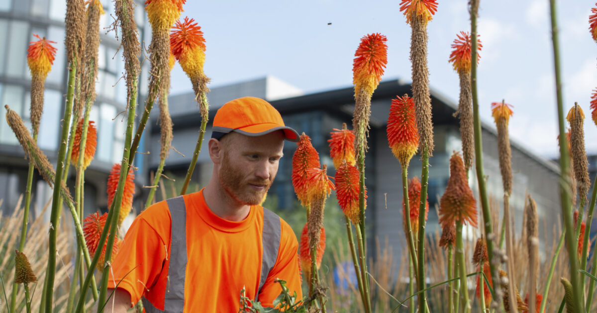 "A vital part of the city’s ecosystem": Celebrating Sheffield's ...