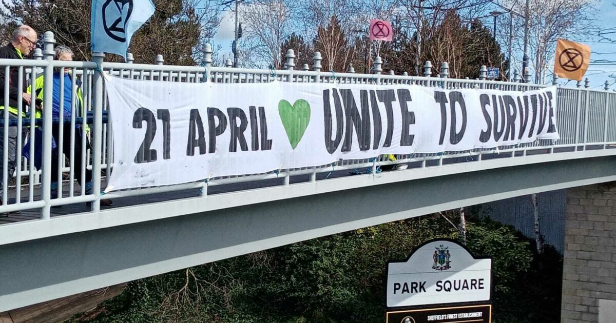 ‘Everyone is needed’ for historic climate protest | Now Then Sheffield