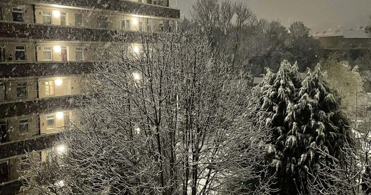 I'm trapped in my eighth floor flat – it's about time we reformed land ...