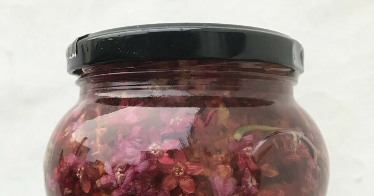 Social Pickle’s Quick Guide to Pickling | Now Then Sheffield
