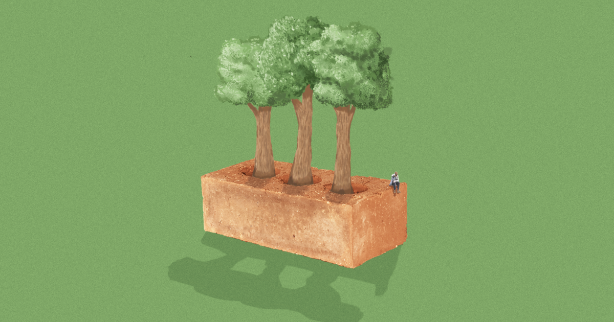 We still treat nature with contempt in Sheffield | Now Then Sheffield