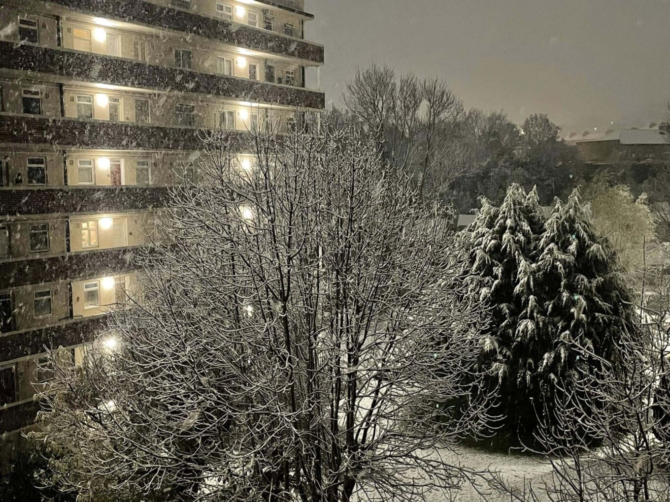 I'm trapped in my eighth floor flat – it's about time we reformed land ...