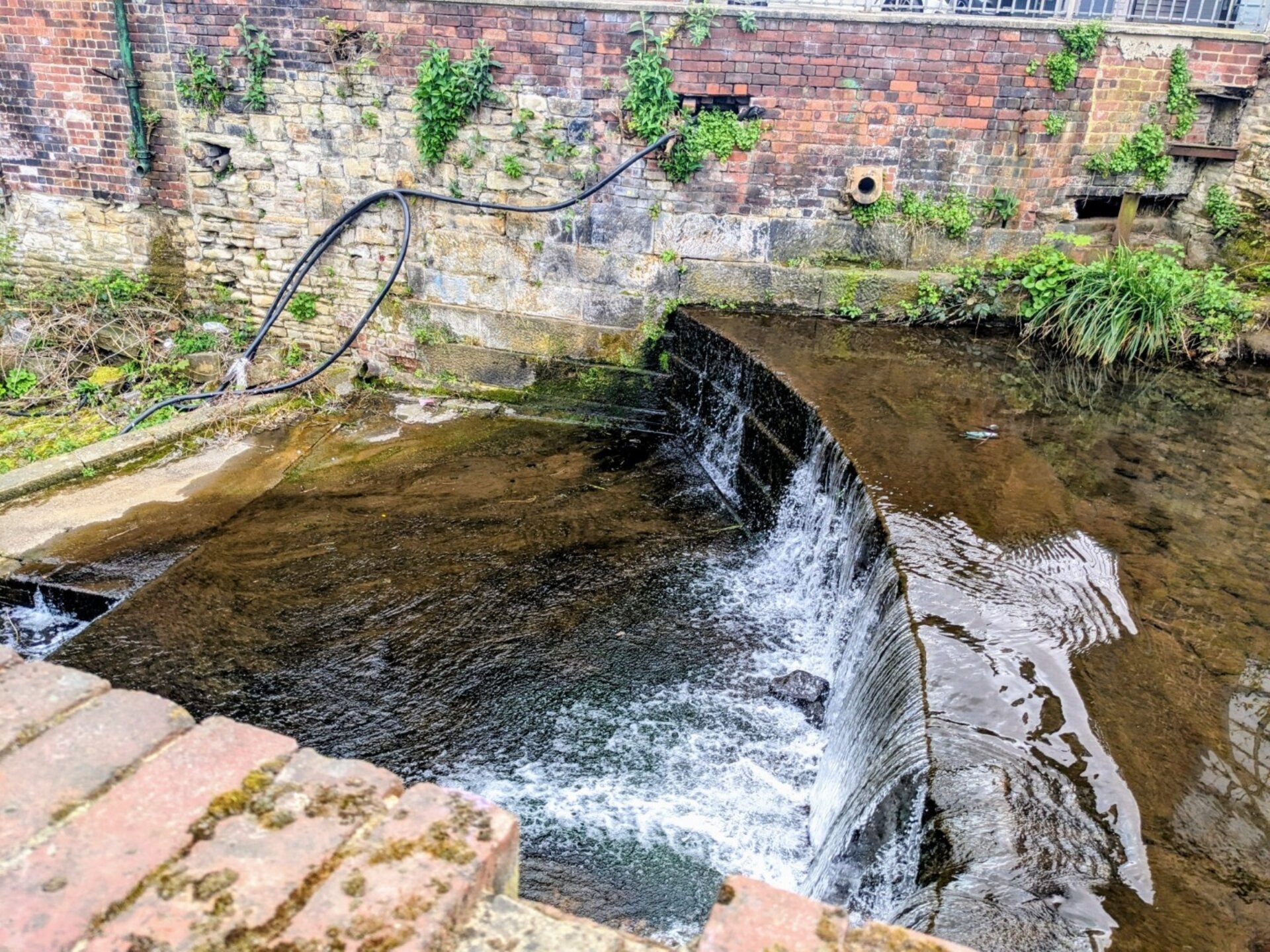 Could a revived River Porter form the future of Sheffield? | Now Then ...