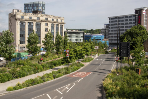"A vital part of the city’s ecosystem": Celebrating Sheffield's ...