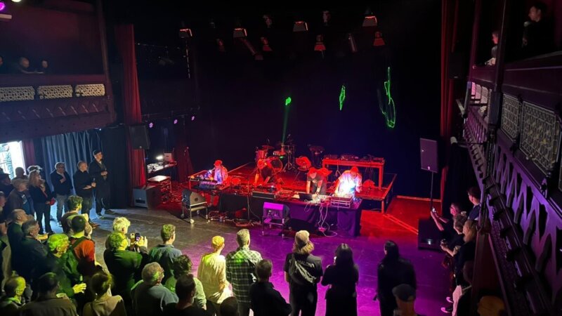 Gut Level | Now Then Sheffield