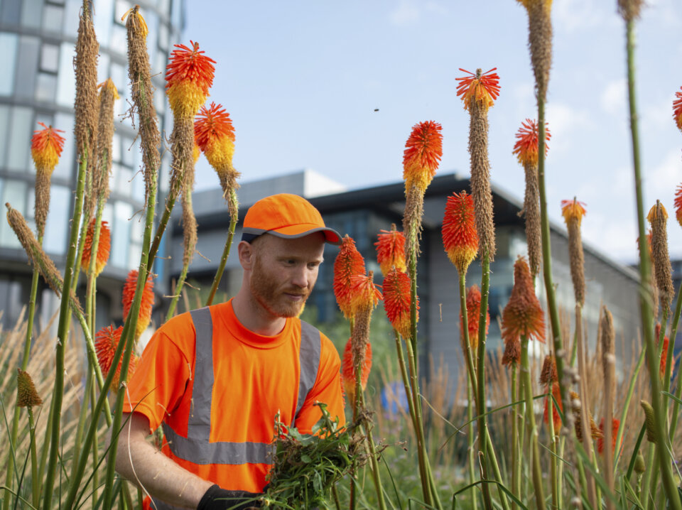 "A vital part of the city’s ecosystem": Celebrating Sheffield's ...
