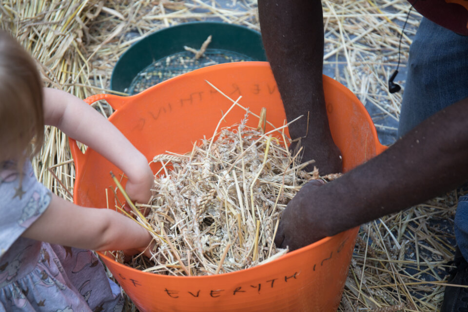 Flour to the people: An experiment in food sovereignty | Now Then Sheffield